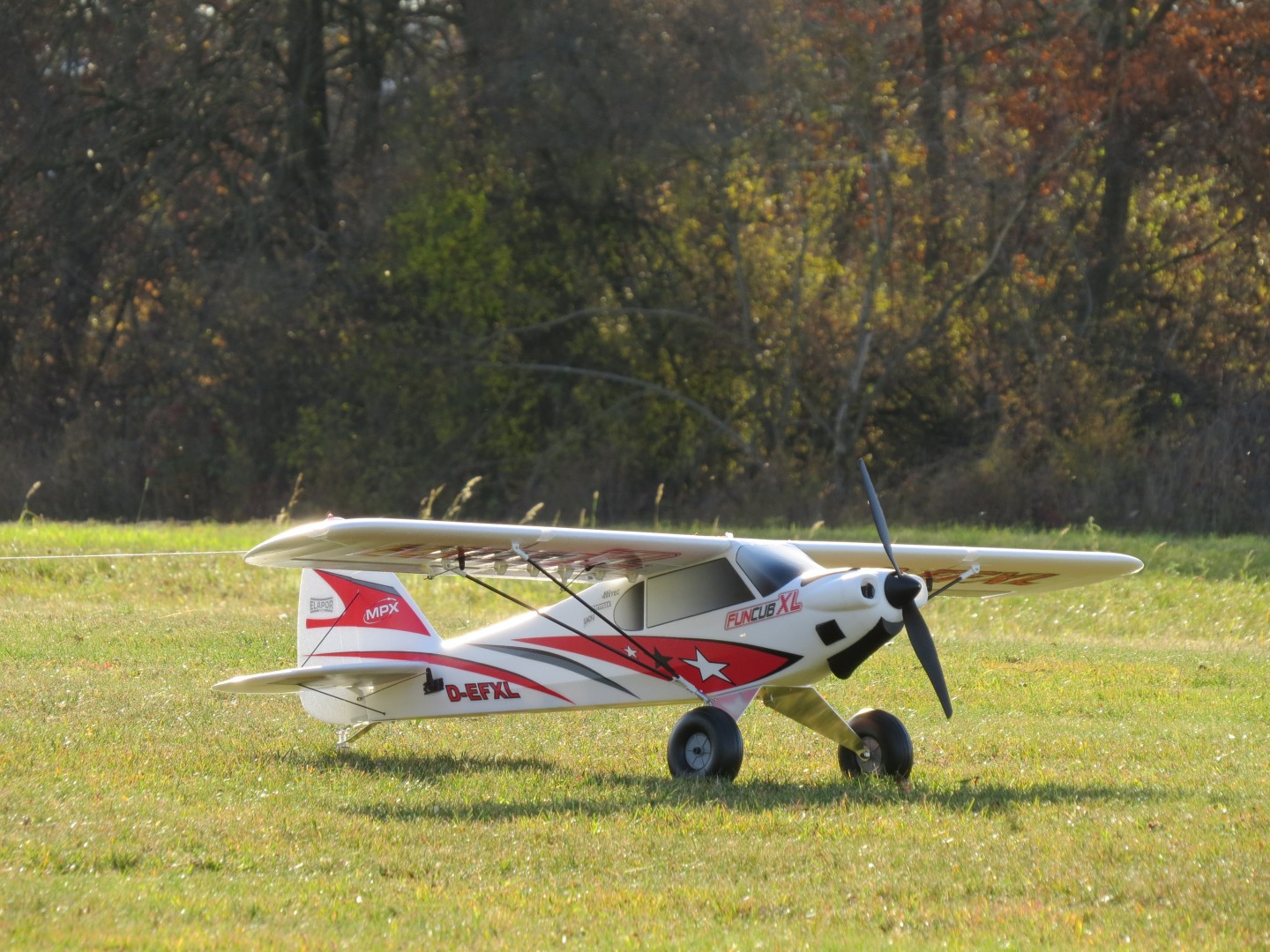 FunCub XL von Multiplex - FlugModell